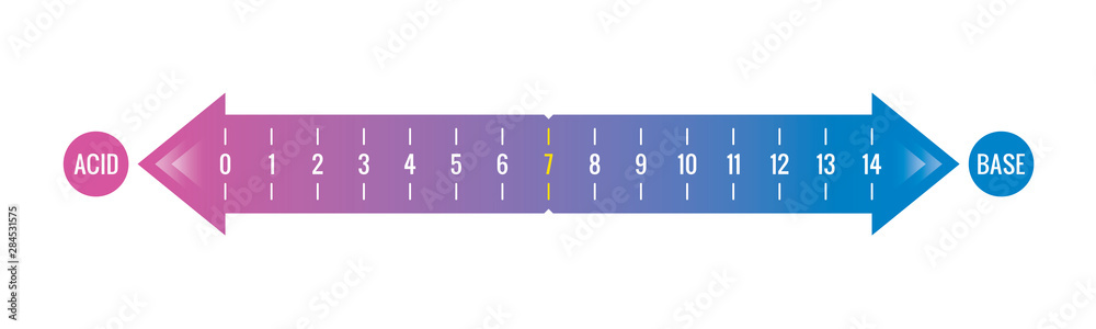vector acid-base balance. acid-base scheme Stock Vector | Adobe Stock