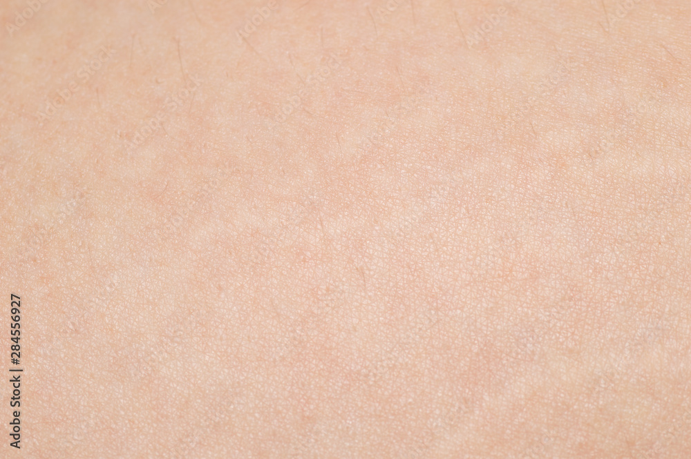 Macro of human skin. Human skin texture background Stock Photo | Adobe ...