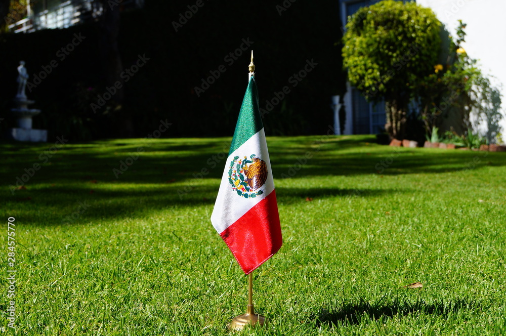 Bandera Mexicana fondo verde Stock Photo | Adobe Stock