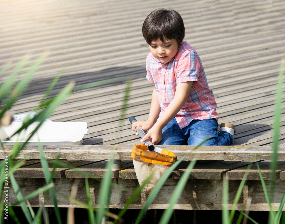 Portrait Kid boy catching creatures in pond with net in summer time ...