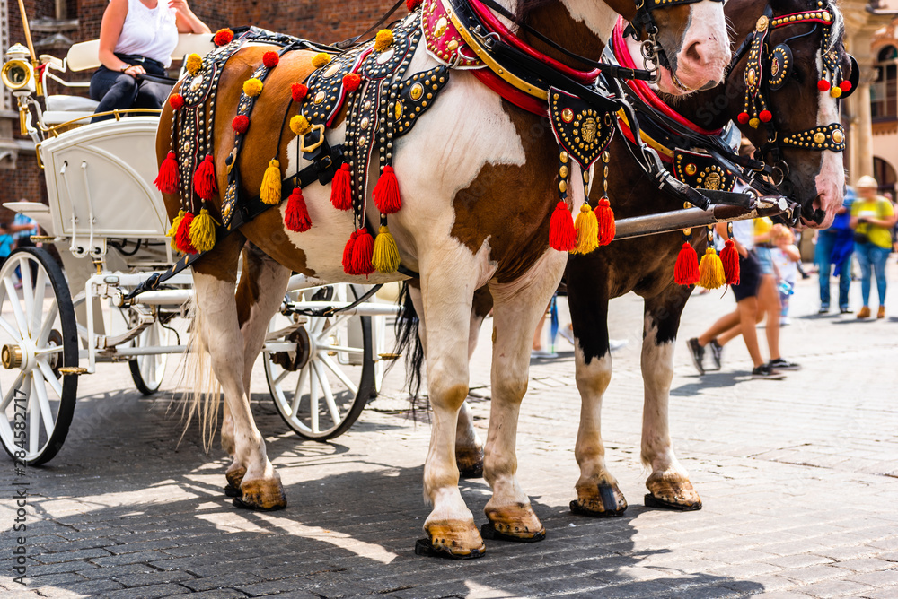 Colorful horse-drawn cart on the main square of the historic city ...
