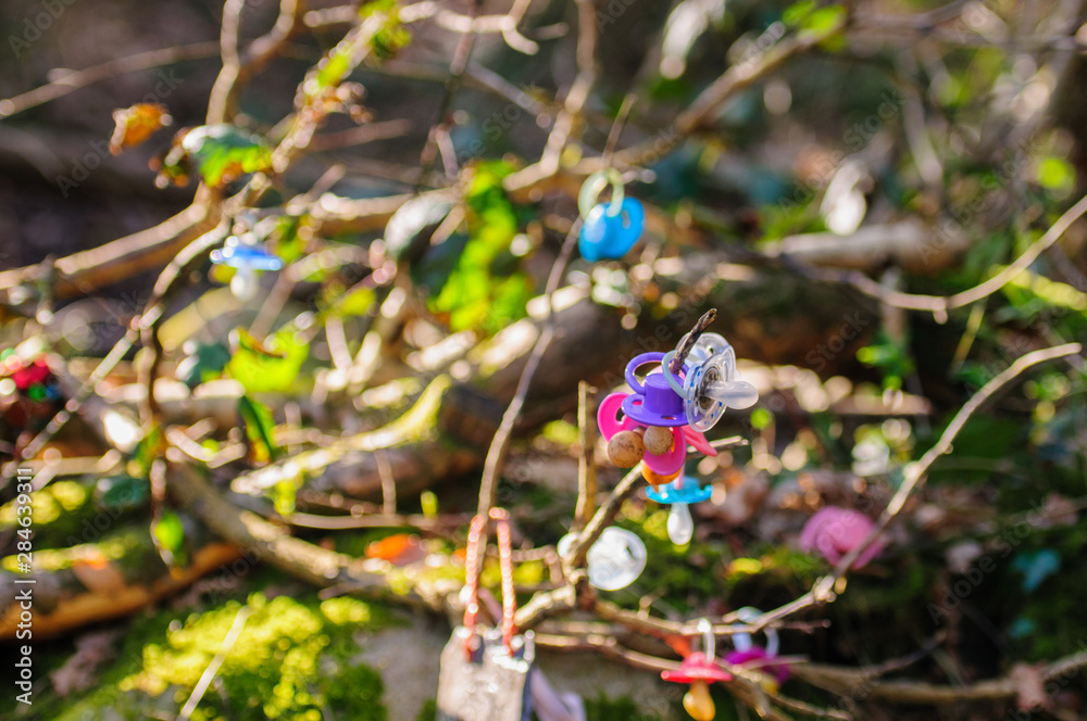 "Dodo Fairy" lair, where babies can donate their dummy tits, soothers ...