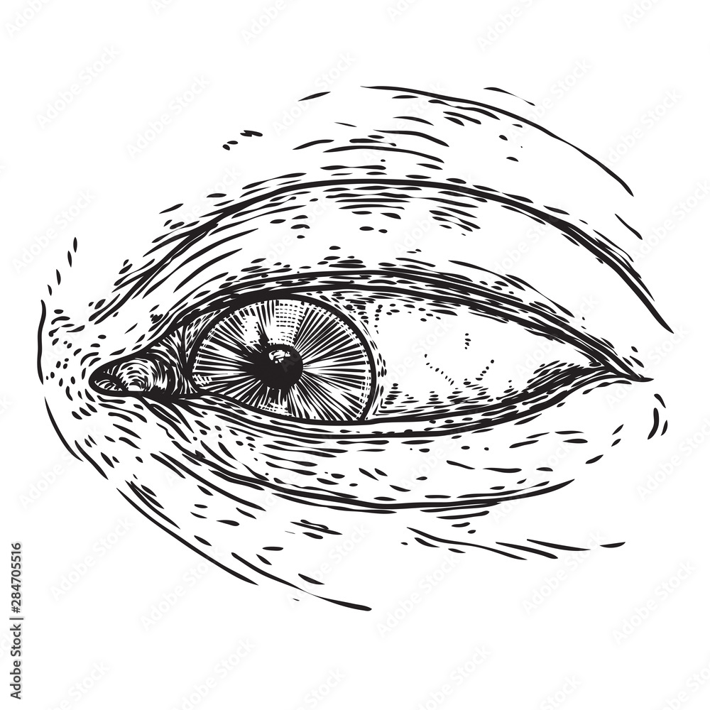 Various drawing of the all seeing eye in different direction and ...