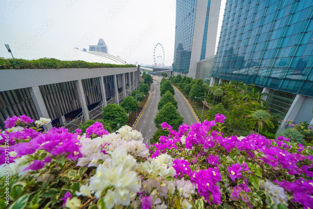 Colorful flowers with Singapore flyer in Downtown Singapore skyline ...