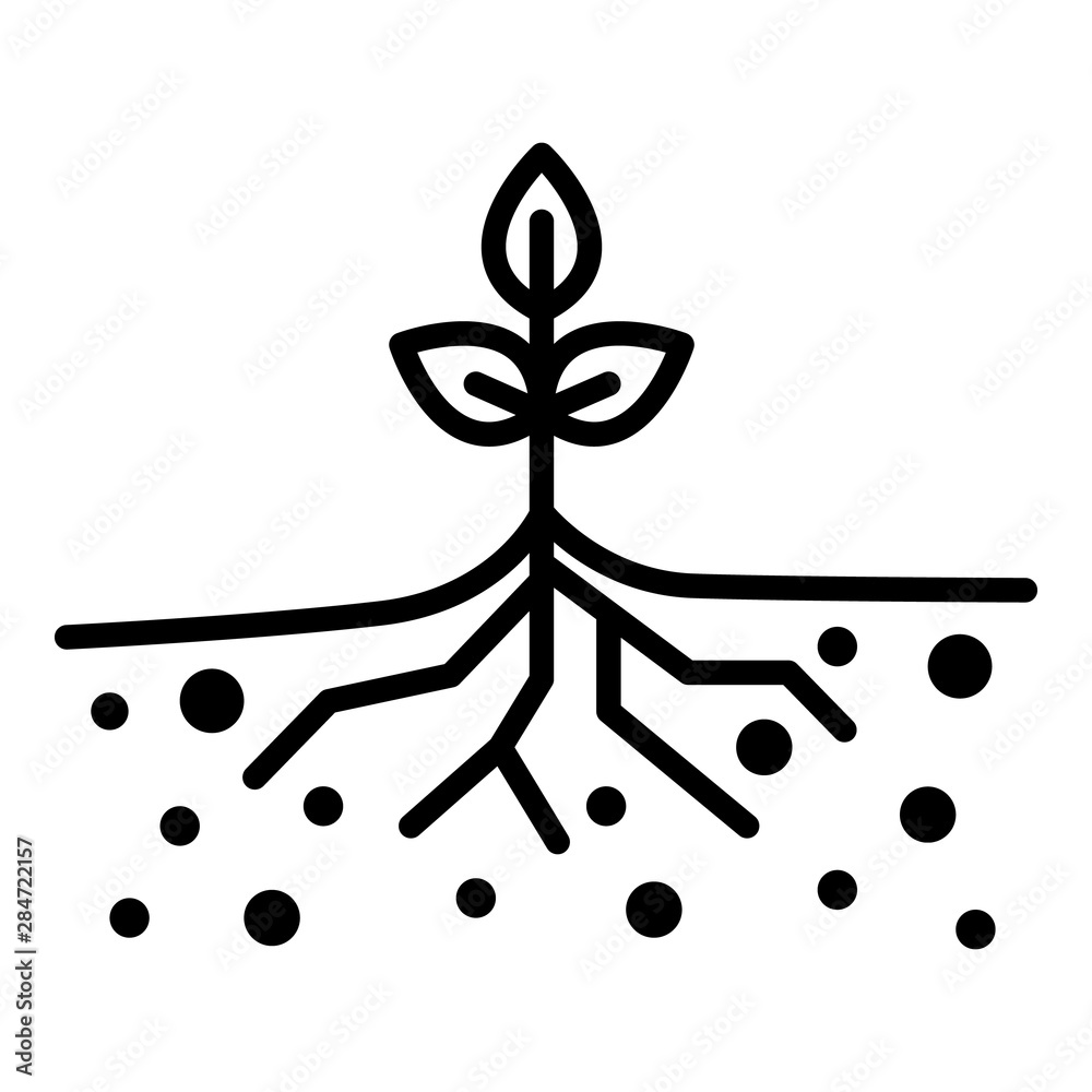 Young sprout with root icon. Outline young sprout with root vector icon ...
