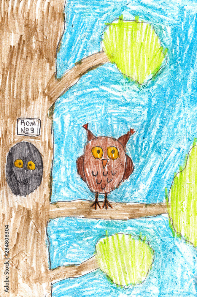 Owl In Tree Drawing