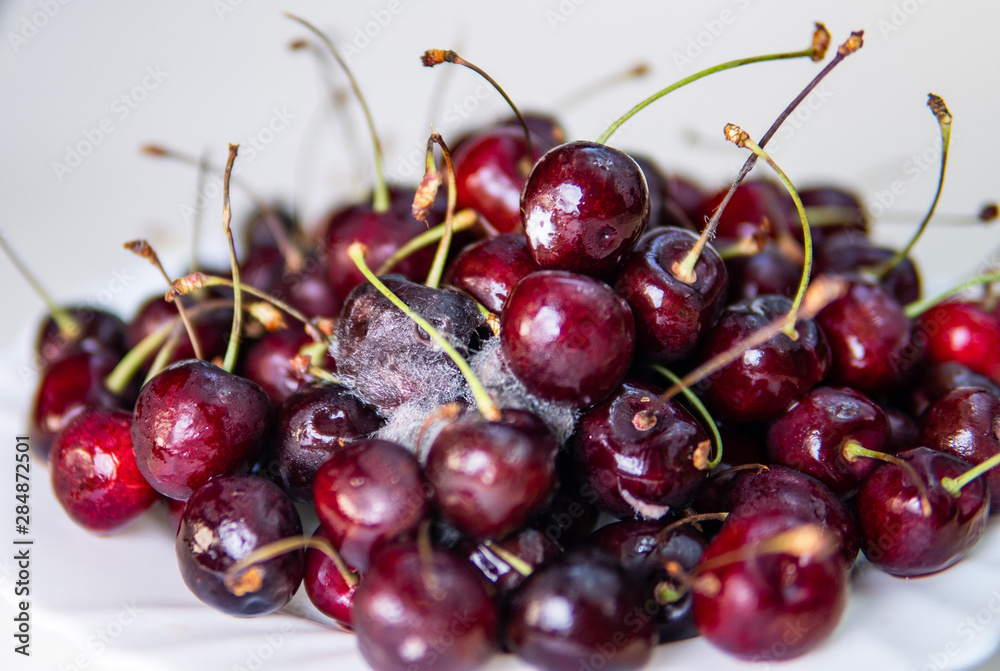 Spoiled sweet cherry from the fridge, rotten fruits. Isolated on white ...