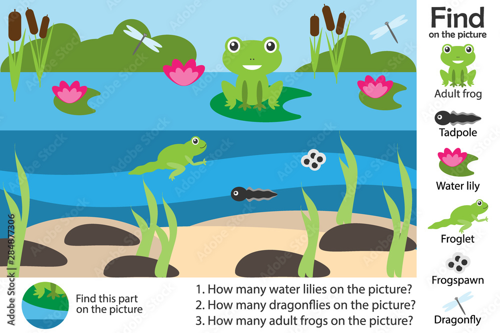 Activity page, pond with frog in cartoon style, find images and answer ...