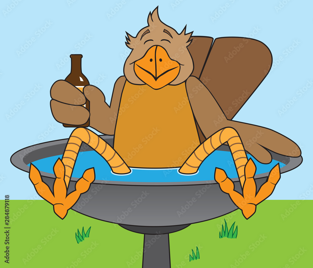 Bird Bath And Beverage Stock Vector | Adobe Stock
