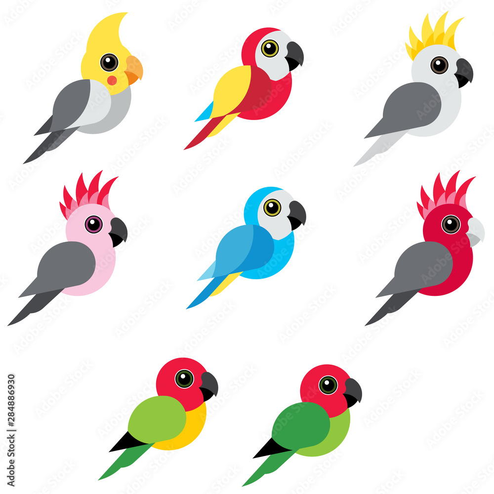 set flat parrot on white background Stock Vector | Adobe Stock