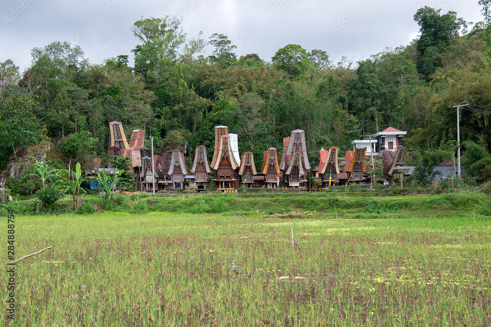 Tongkonan houses, traditional Torajan buildings, Tana Toraja is the ...