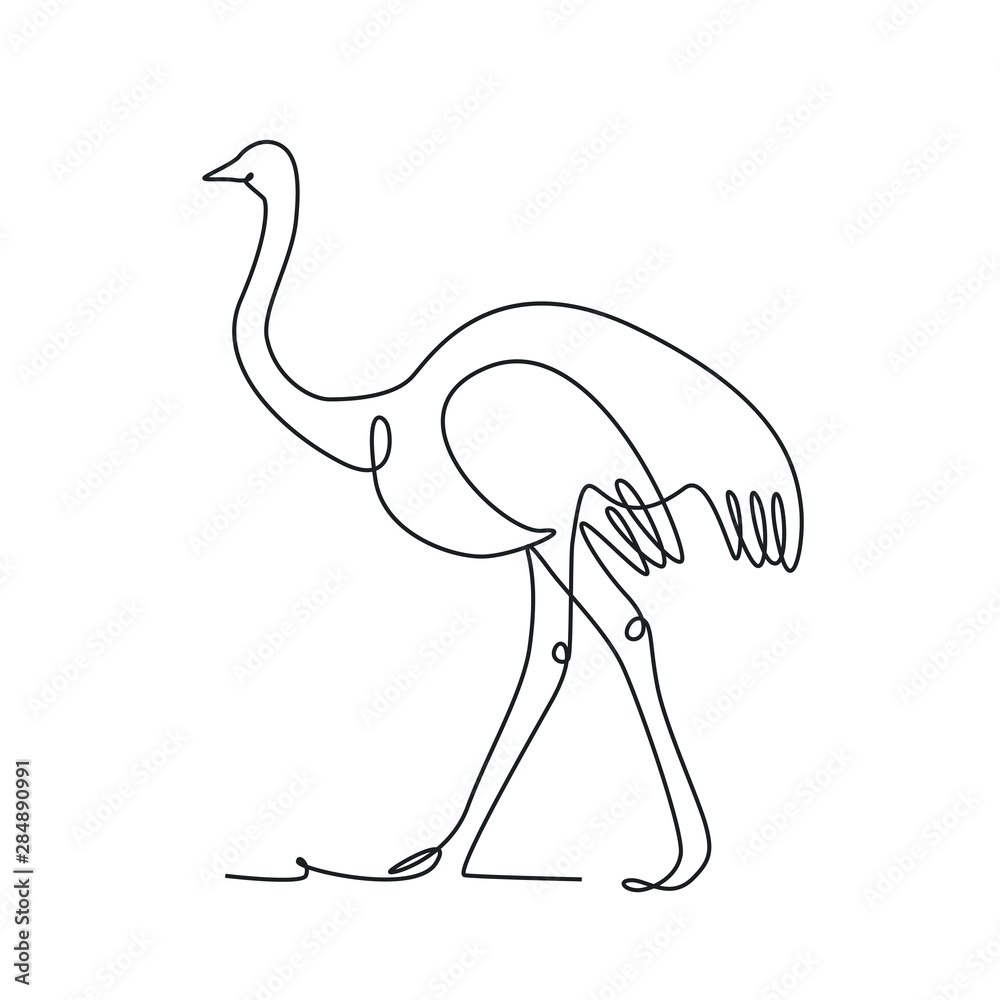Ostrich one line drawing on white isolated background. Vector ...