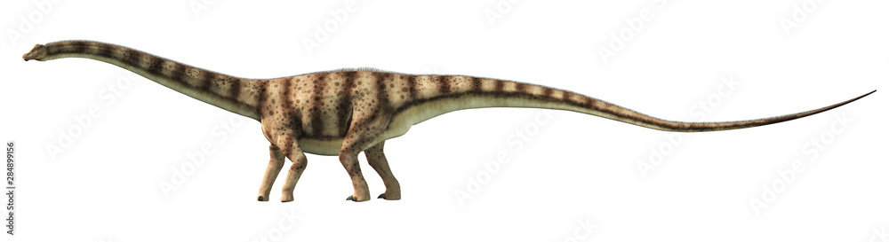 Diplodocus was a sauropod dinosaur that lived in North America during ...