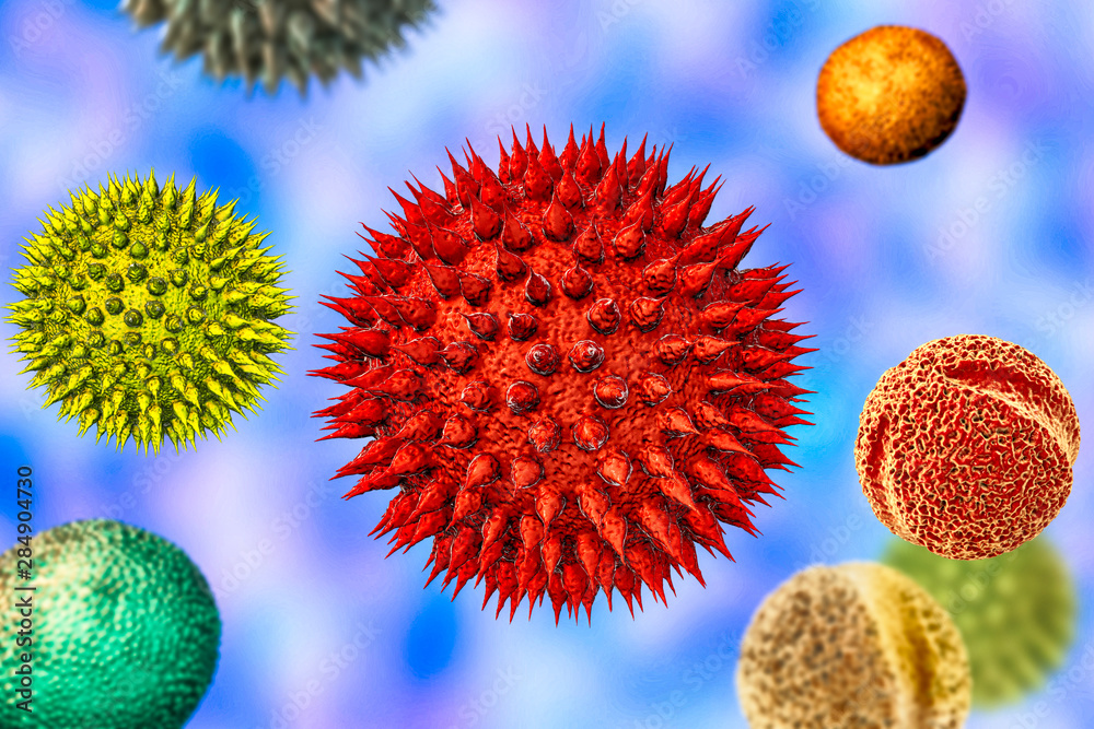 Pollen grains from different plants, 3D illustration. They are factors ...