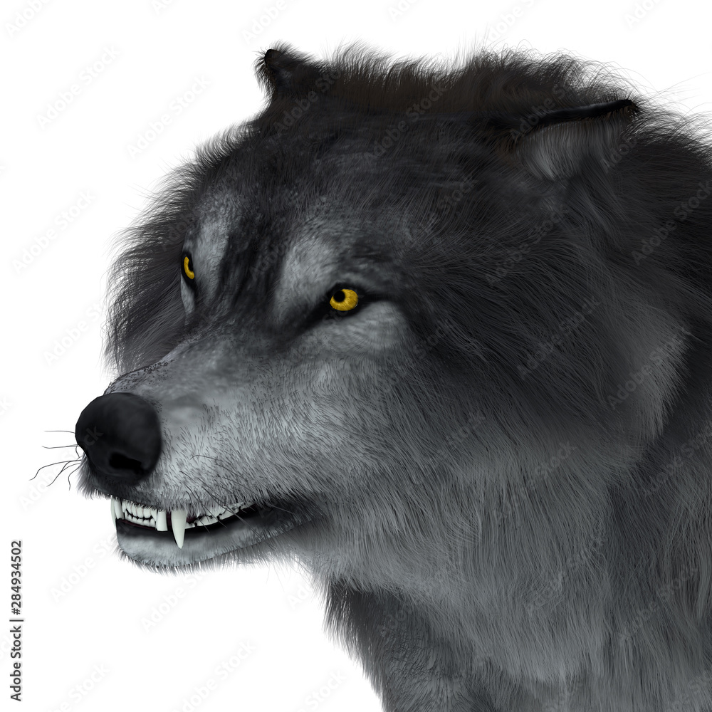 Dire Wolf Head - The carnivorous Dire Wolf lived in North and South ...