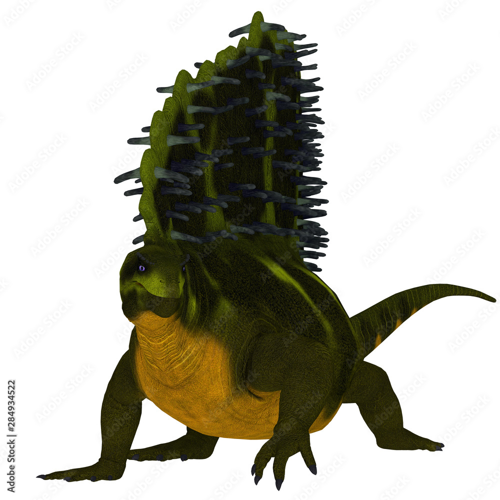 Edaphosaurus Dinosaur on White - Edaphosaurus was a sailback ...