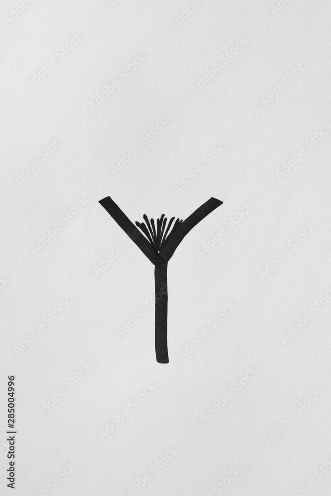 Self Made drawing of a woman's body. The photograph shows the female ...