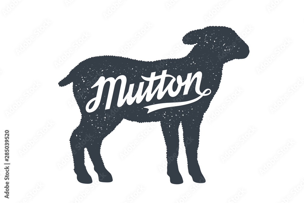 Mutton, Sheep, Lamb. Lettering. Vintage lettering, retro print Stock ...
