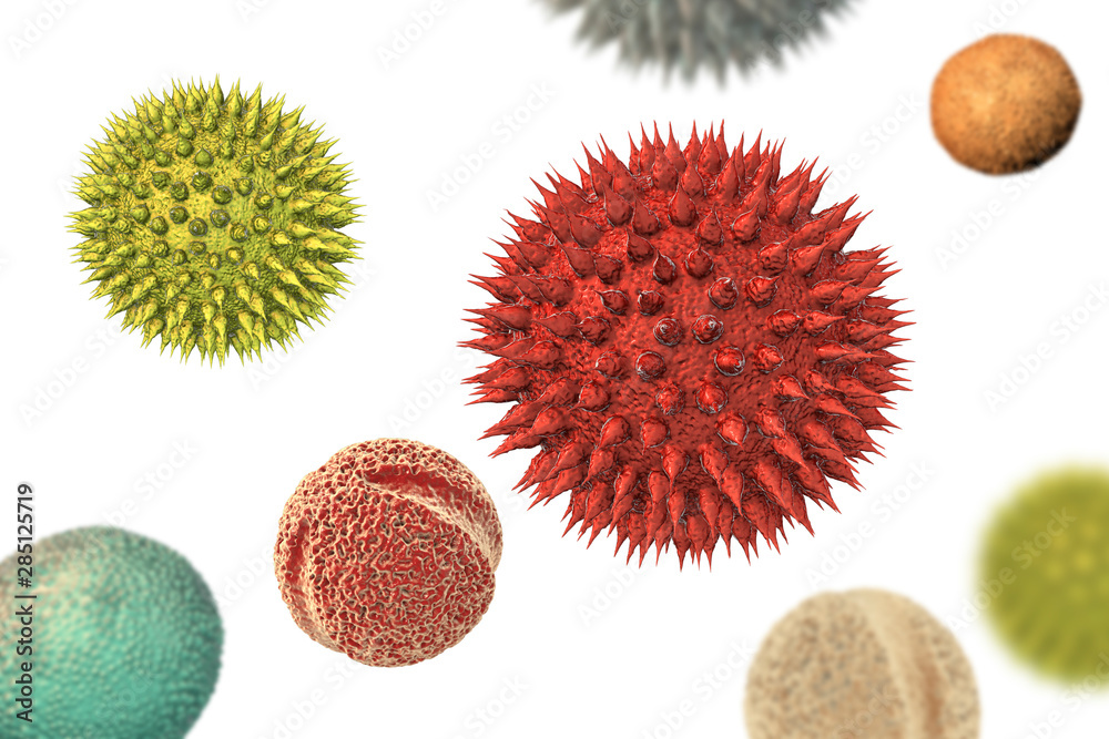 Pollen grains from different plants, 3D illustration. They are factors ...