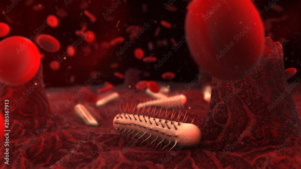 Bacterium flora microflora microbiota bacteria microbe for healthy gut ...