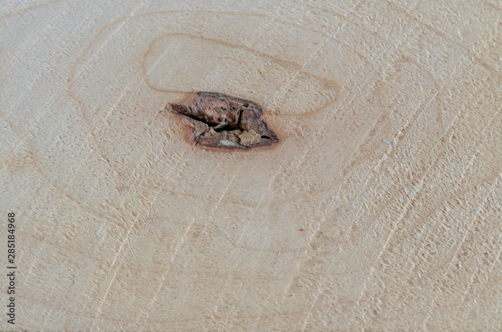 Natural wood texture closeup. Tree cut background. Wood working, timber ...