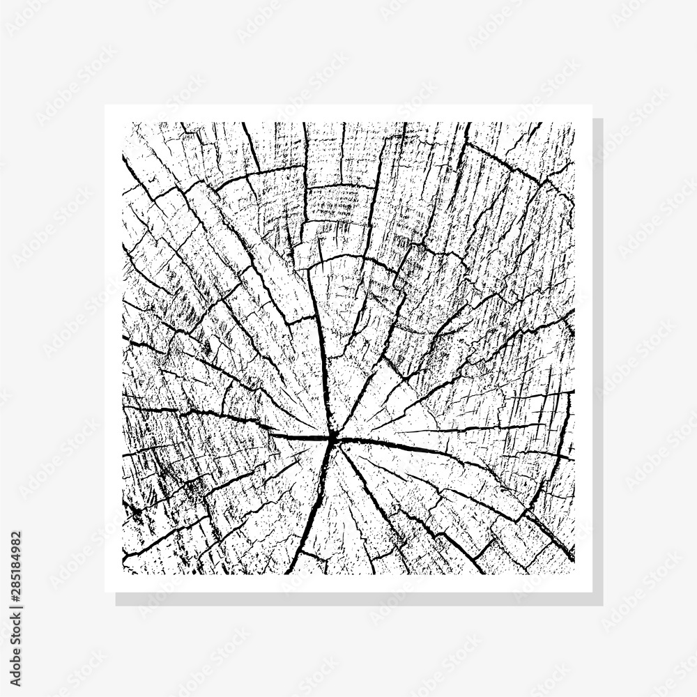 Round Wooden Cross Section With Tree Rings Stock Illustration | Adobe Stock