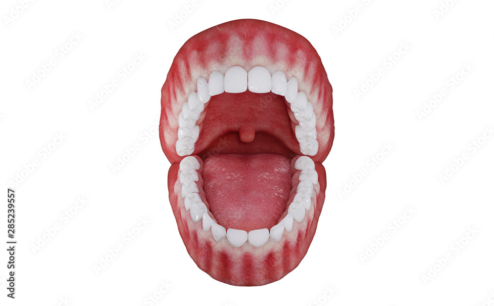 Open Human Mouth