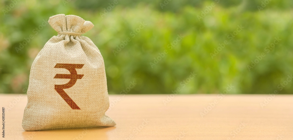Indian Rupee Money Bag