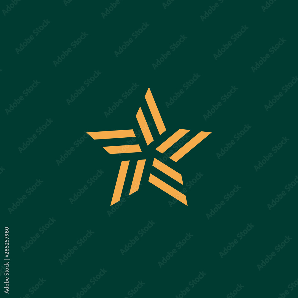 Star logo element vector emblem modern design Stock Vector | Adobe Stock