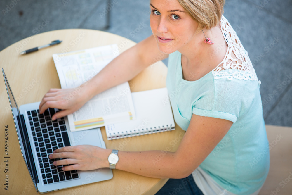 University student studying hard for an exam in a lovely bright sunlit ...