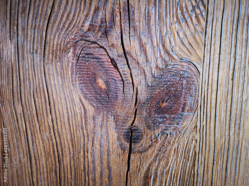 Holz Comic Fuchs Stock Photo | Adobe Stock