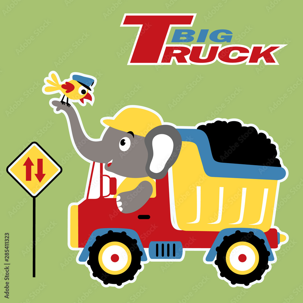 vector cartoon of elephant driving truck with a bird on its nose Stock ...