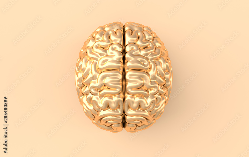 3d brain rendering illustration template background. The concept of ...