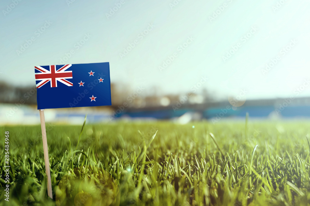 Miniature stick New Zealand flag on green grass, close up sunny field ...