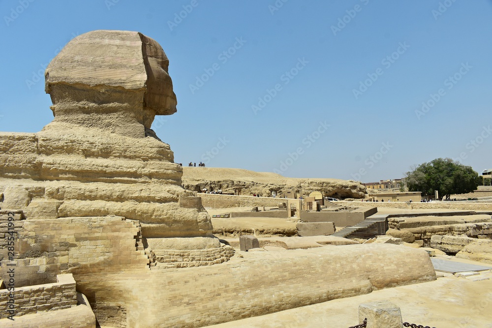Profile view of the Great Sphinx of Giza, is a mythical creature with ...