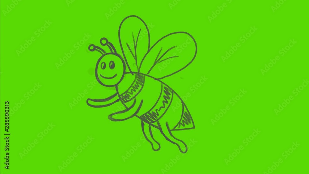 2d Animation motion graphics drawing of a honey bee, honeybee or bumble ...