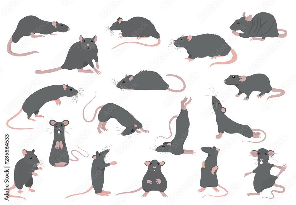 Rat Pack Clip Art