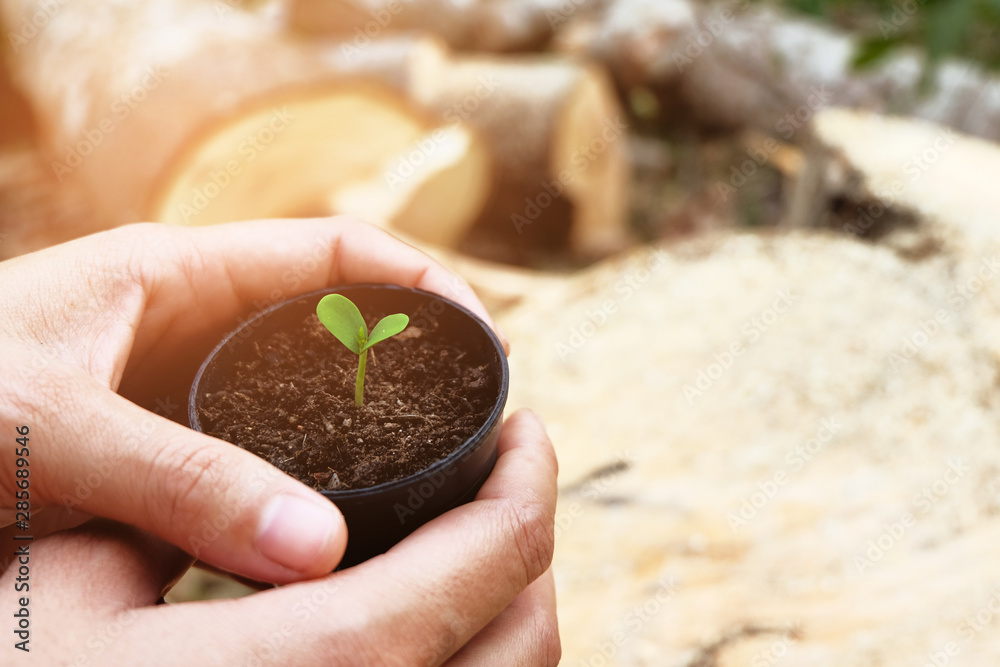 Ecological friendly and sustainable environment concept with tree ...