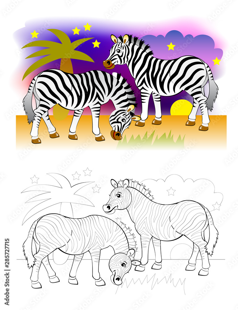 Two cute zebras in African desert. Colorful and black and white page ...