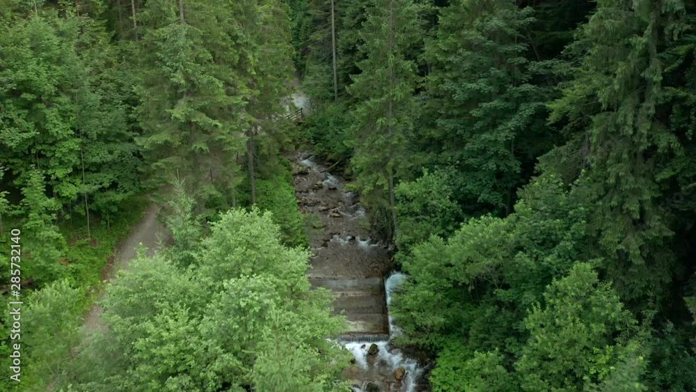 Drone Shot in mysterious mountainous jungle with trees bending over a ...