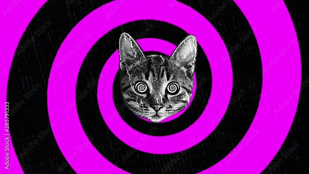 Vidéo Stock Colorful retro spinning kitten cats animation on a pink ...