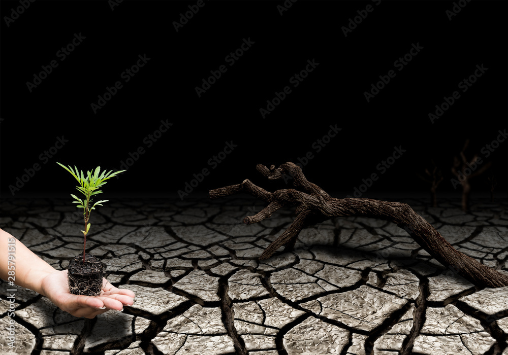 save earth save life, World Environment Day concept. Environmental ...