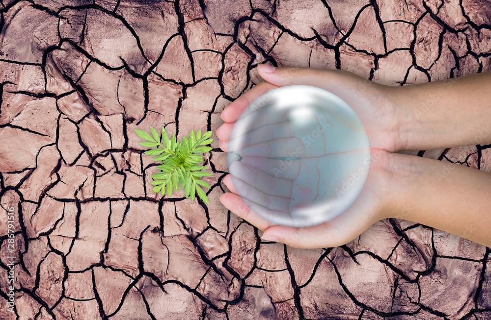 Poster save earth save life, World Environment Day concept – Wall Art ...