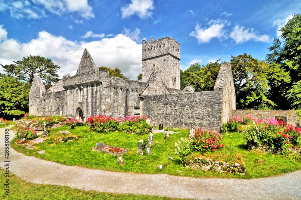 The Franciscan friary of Irrelagh, now known as Muckross Abbey in the ...
