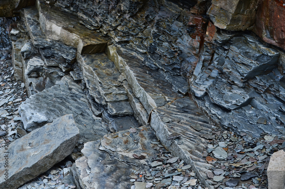 Joggins Fossil Cliffs
