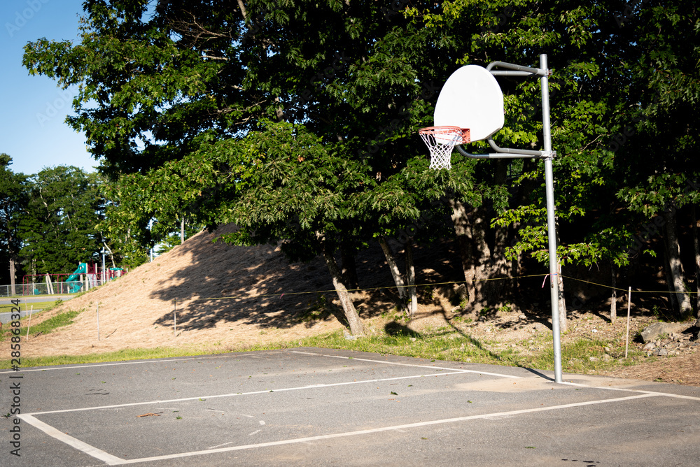 Rachel Schultz: BUILDING A DIY BASKETBALL BACKBOARD, 41% OFF