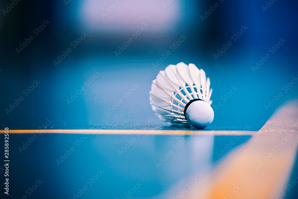 Badminton Racket And Shuttlecock Wallpaper Premium Photo