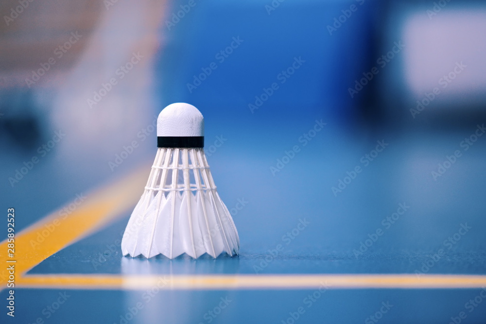 badminton racket and shuttlecock on strings Stock Photo | Adobe Stock