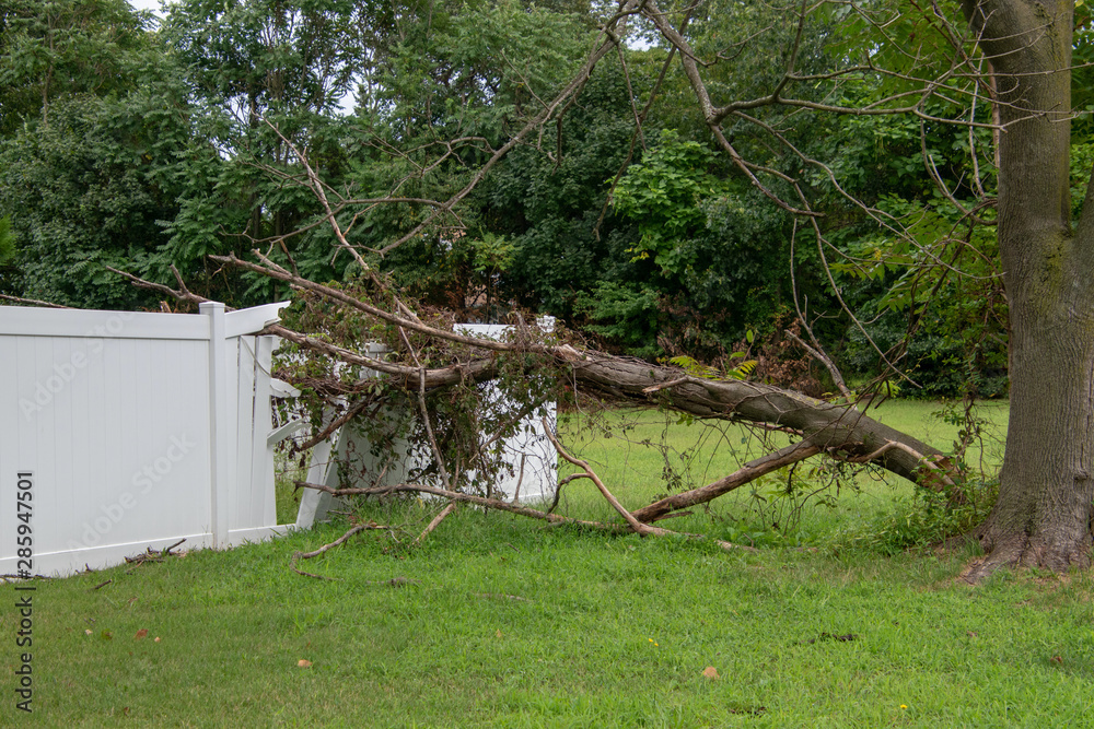Large limb that fell off a tree destroying part of a white metal fence ...