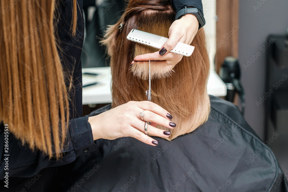 Female hairdresser hold in hand between fingers lock of red hair and ...